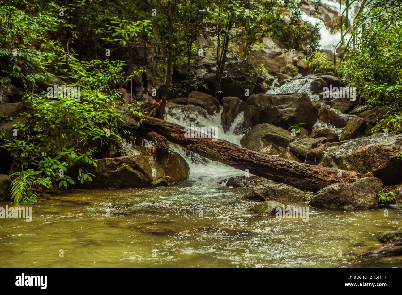 Beautiful waterfall with lake and fallen tree branch Stock Photo - Alamy