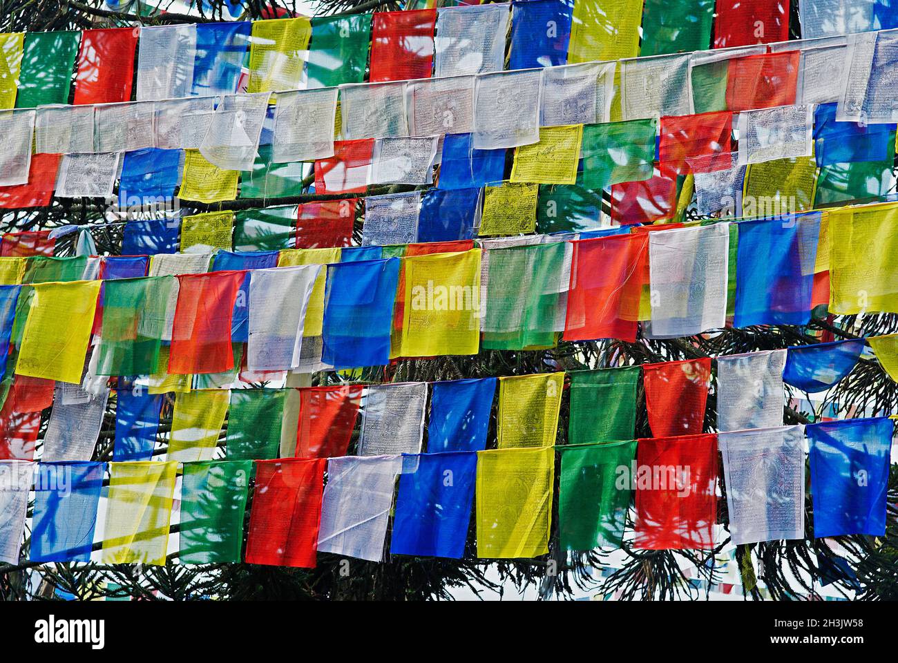 Nepal, Kathmandu valley, Swayambunath stupa, Prayer flag Stock Photo ...