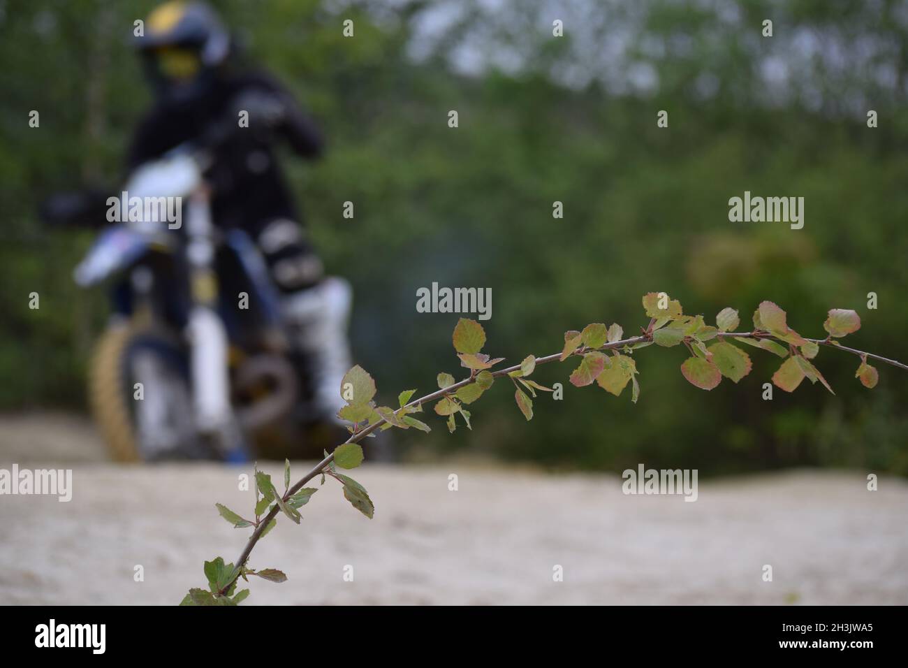 Male rider riding his motorcycle on the mountain field Stock Photo - Alamy