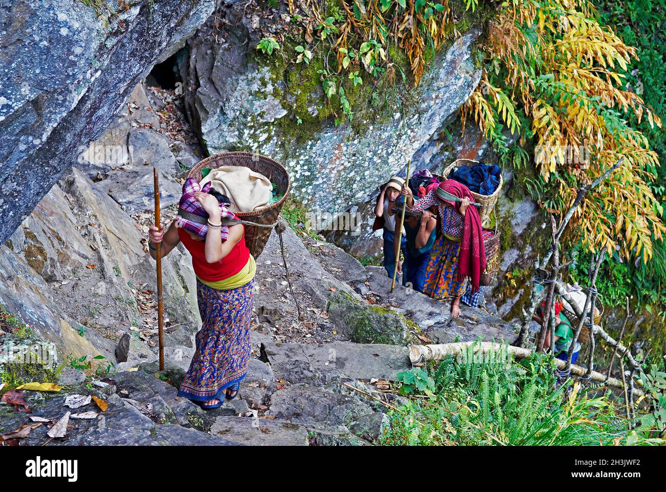Nepal. Arun valley, East Nepal. Porter, the road rider of the Himalaya ...