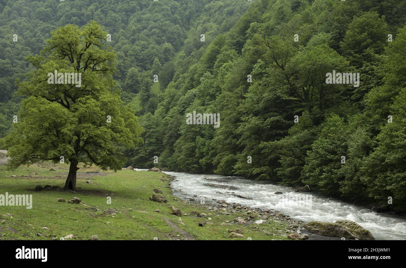 Georgia river rock hi-res stock photography and images - Alamy