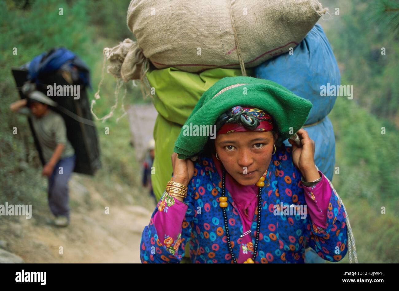 Nepal, Porter of Himalaya Stock Photo - Alamy