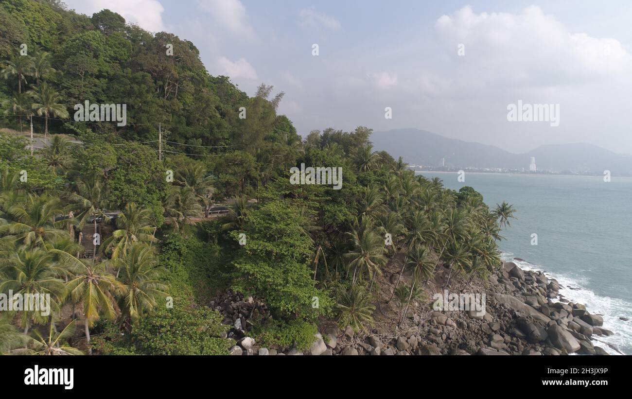 Palm trees over rocks hi-res stock photography and images - Alamy