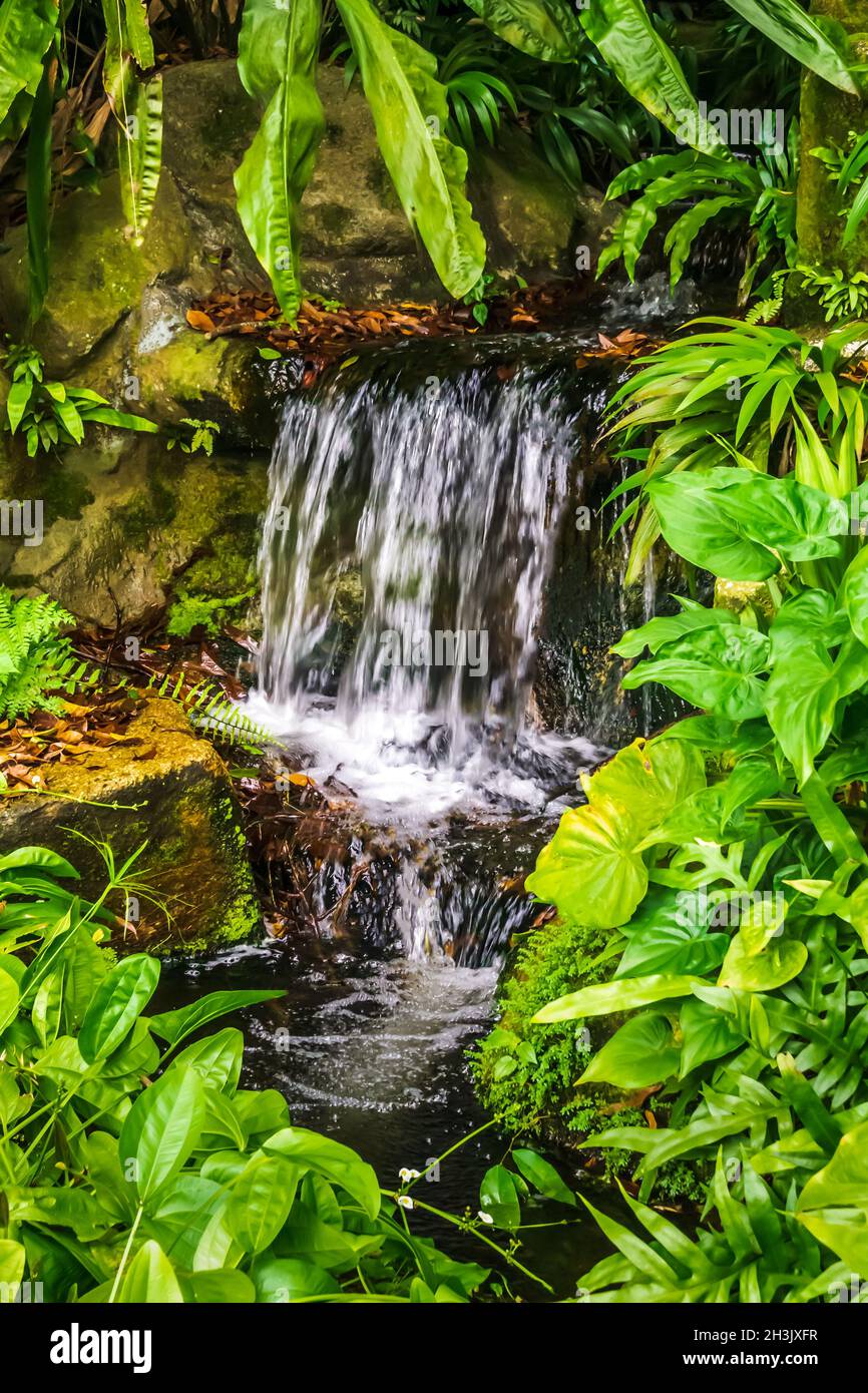 Beautiful waterfall in natural setting Stock Photo - Alamy