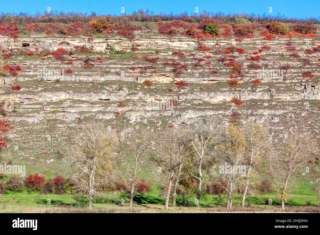 Gorgeous nature scenery in mountains . Cliff with Fall Foliage Stock ...