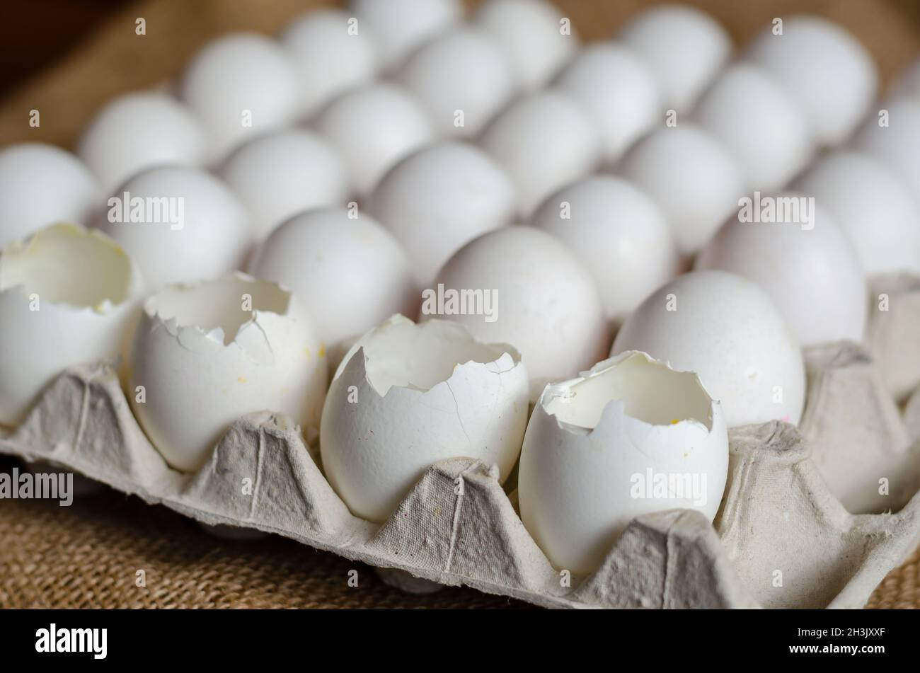 Chicken eggs. Empty shells. Elbow of white raw eggs in close-up ...
