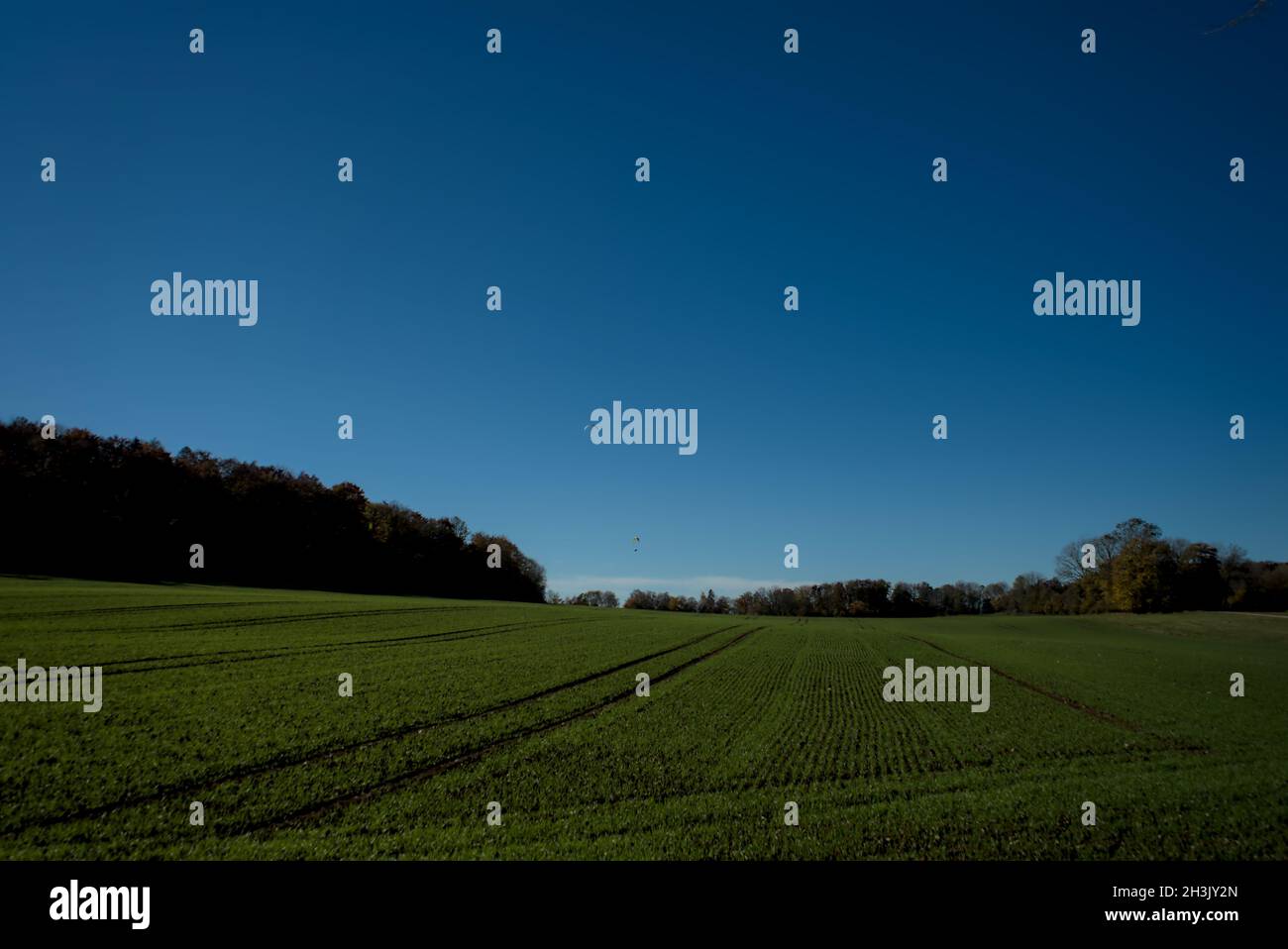 Field in germany hi-res stock photography and images - Alamy