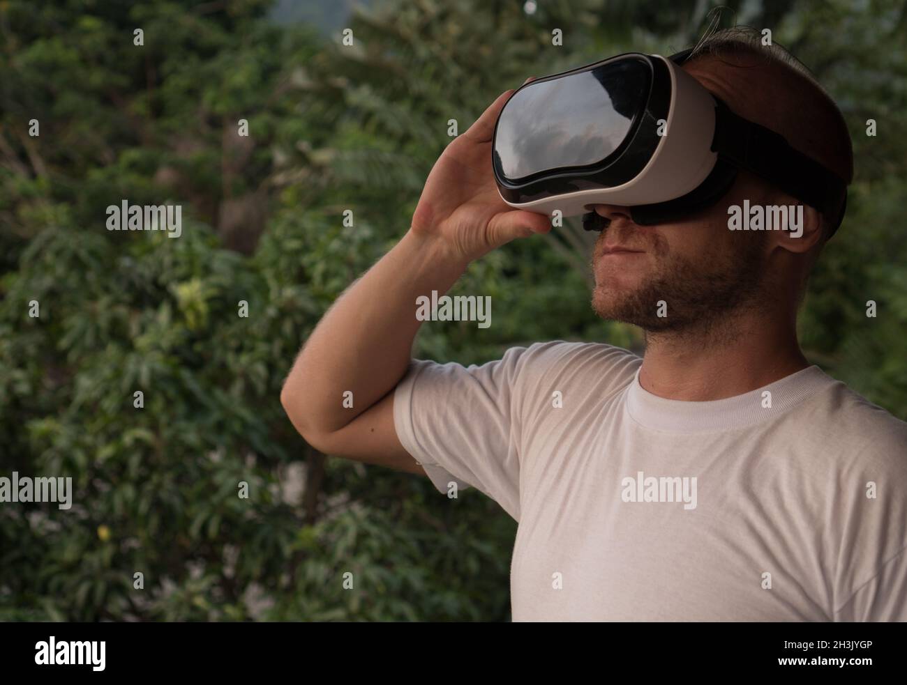 Virtual 3d jungle hi-res stock photography and images - Alamy