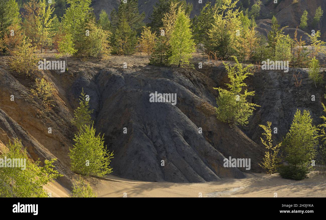 Spring Trees on Sand Hills in the Abandoned Quarry Stock Photo - Alamy