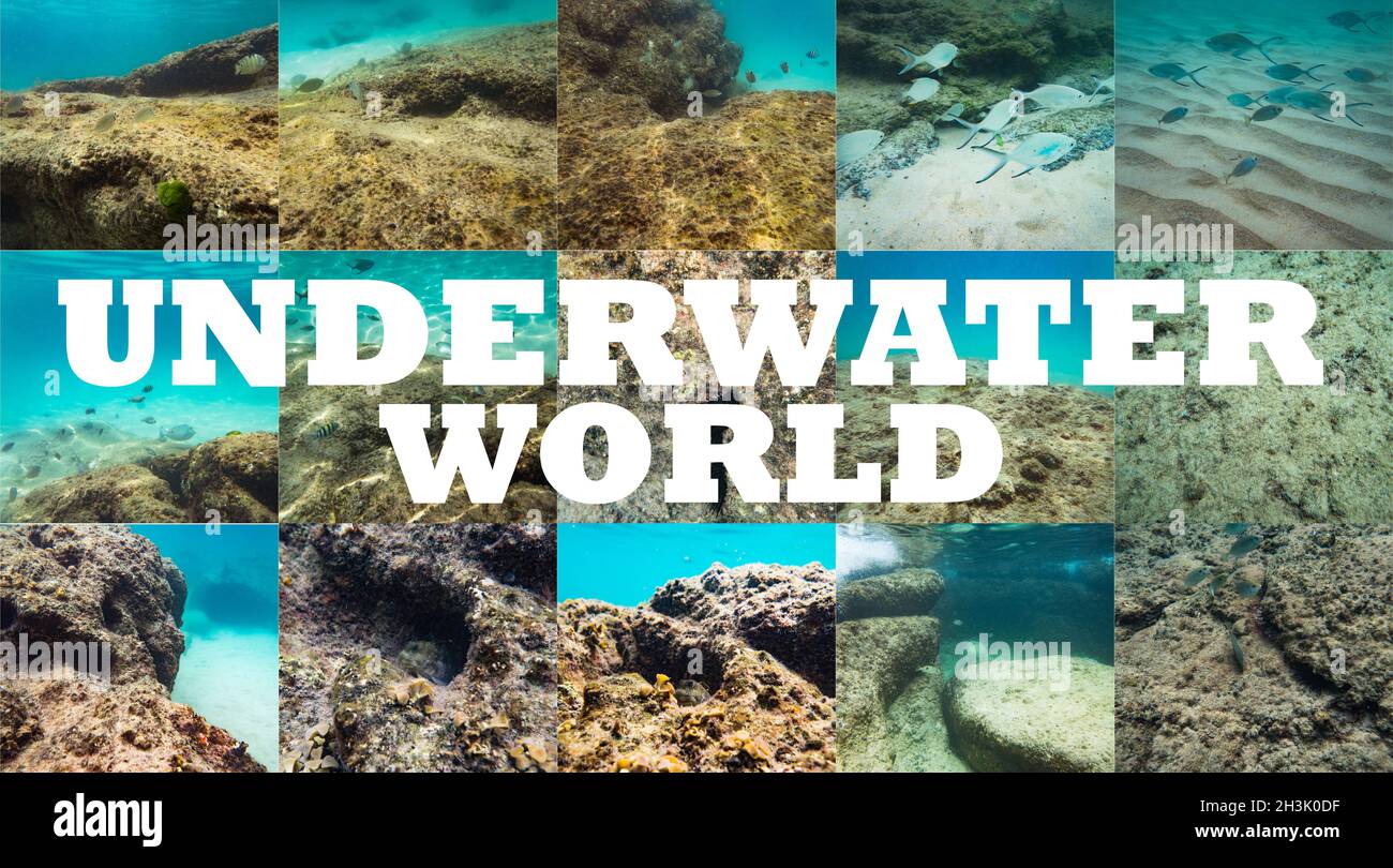 Underwater world landscape and text Stock Photo - Alamy