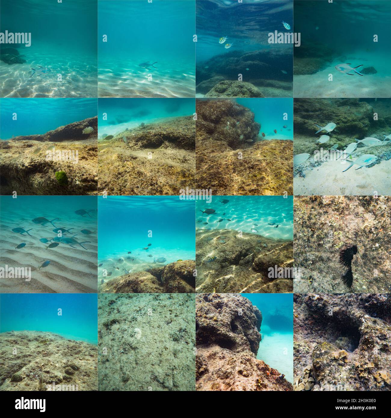 Beautiful underwater landscape ocean hi-res stock photography and ...