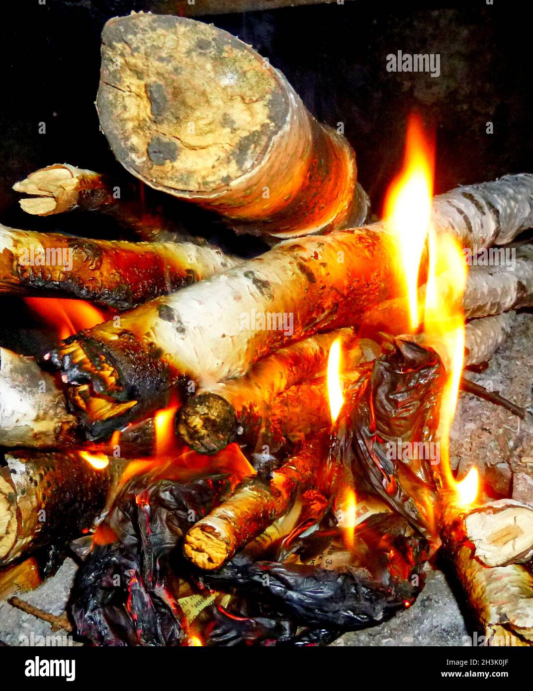 Burning bonfire in stove with paper and burning birch in fire. Smoke ...