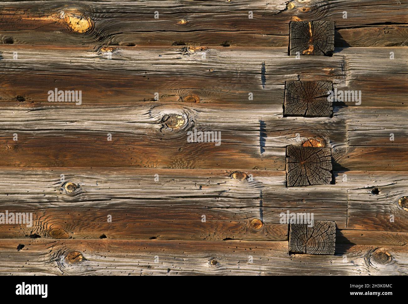Log House Texture