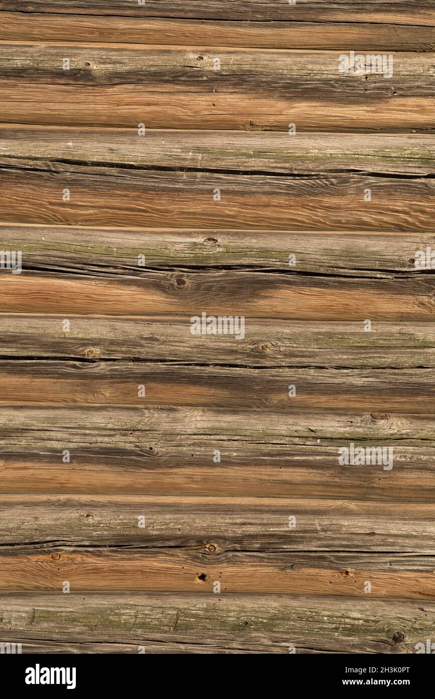 Log Cabin Wall Texture Seamless
