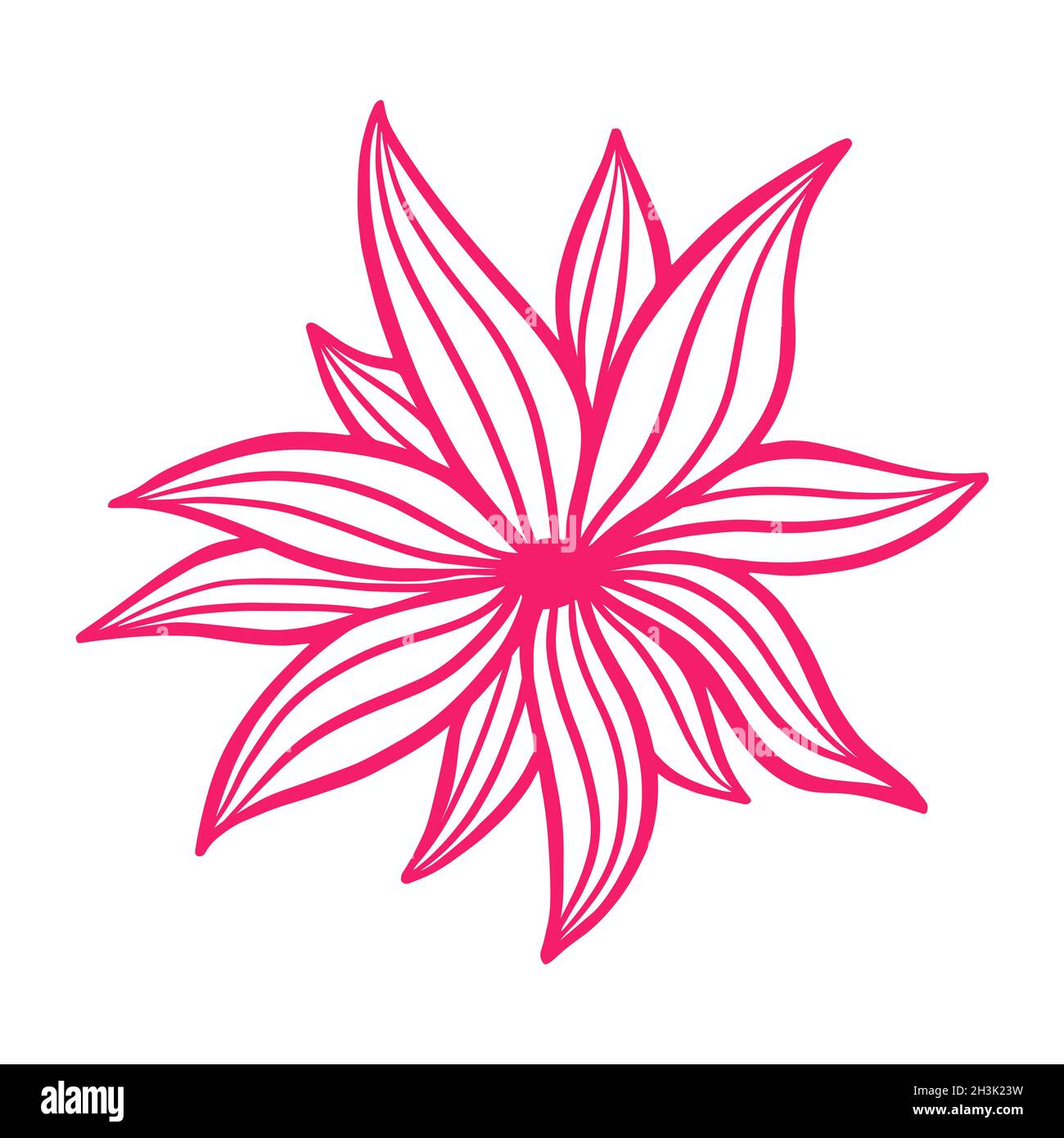 Bright crimson holly flower freehand drawing, vector illustration Stock ...