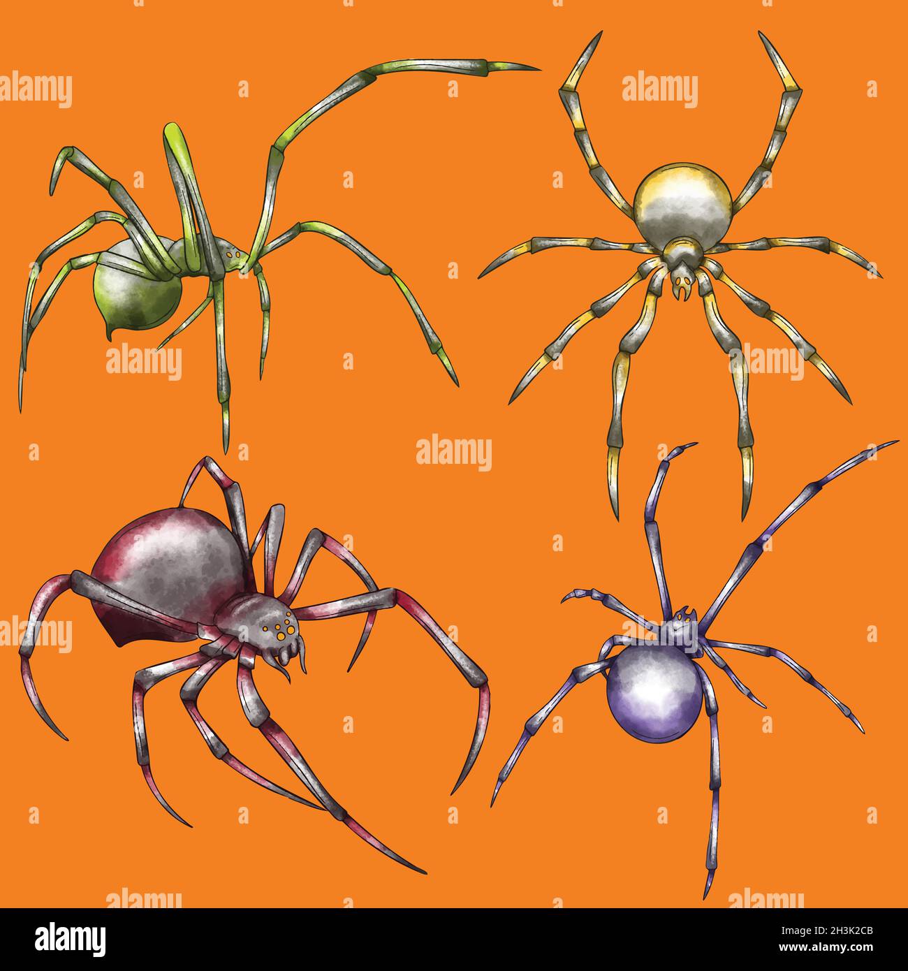 Spiders by hand Stock Vector Images - Alamy
