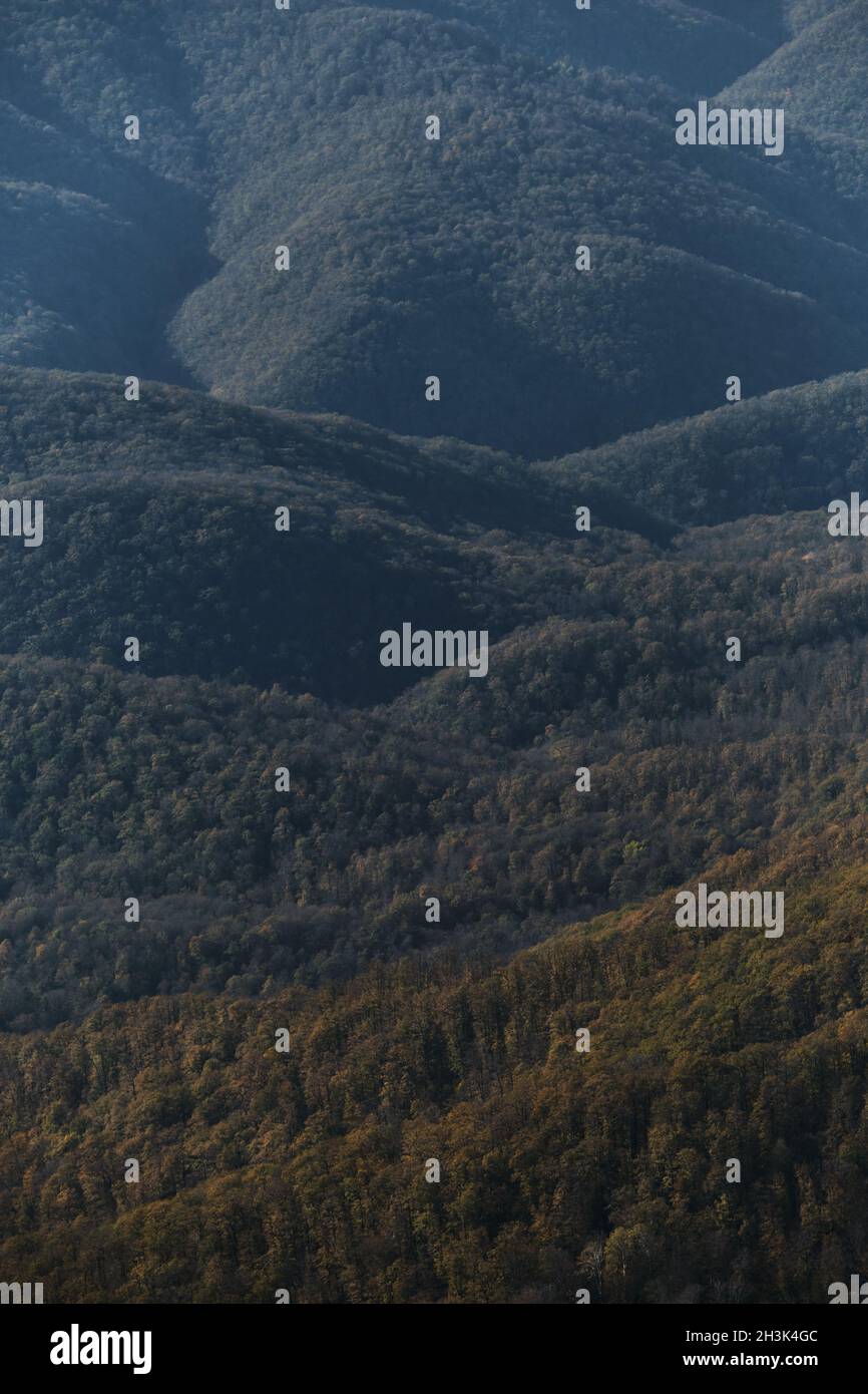 Orange and green trees in distance. Birds eye view of autumn yellow ...