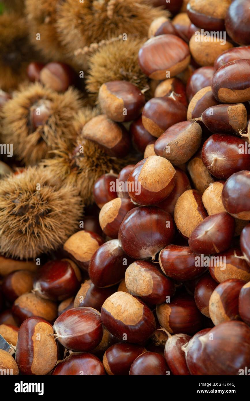 Lots of chestnuts hi-res stock photography and images - Alamy