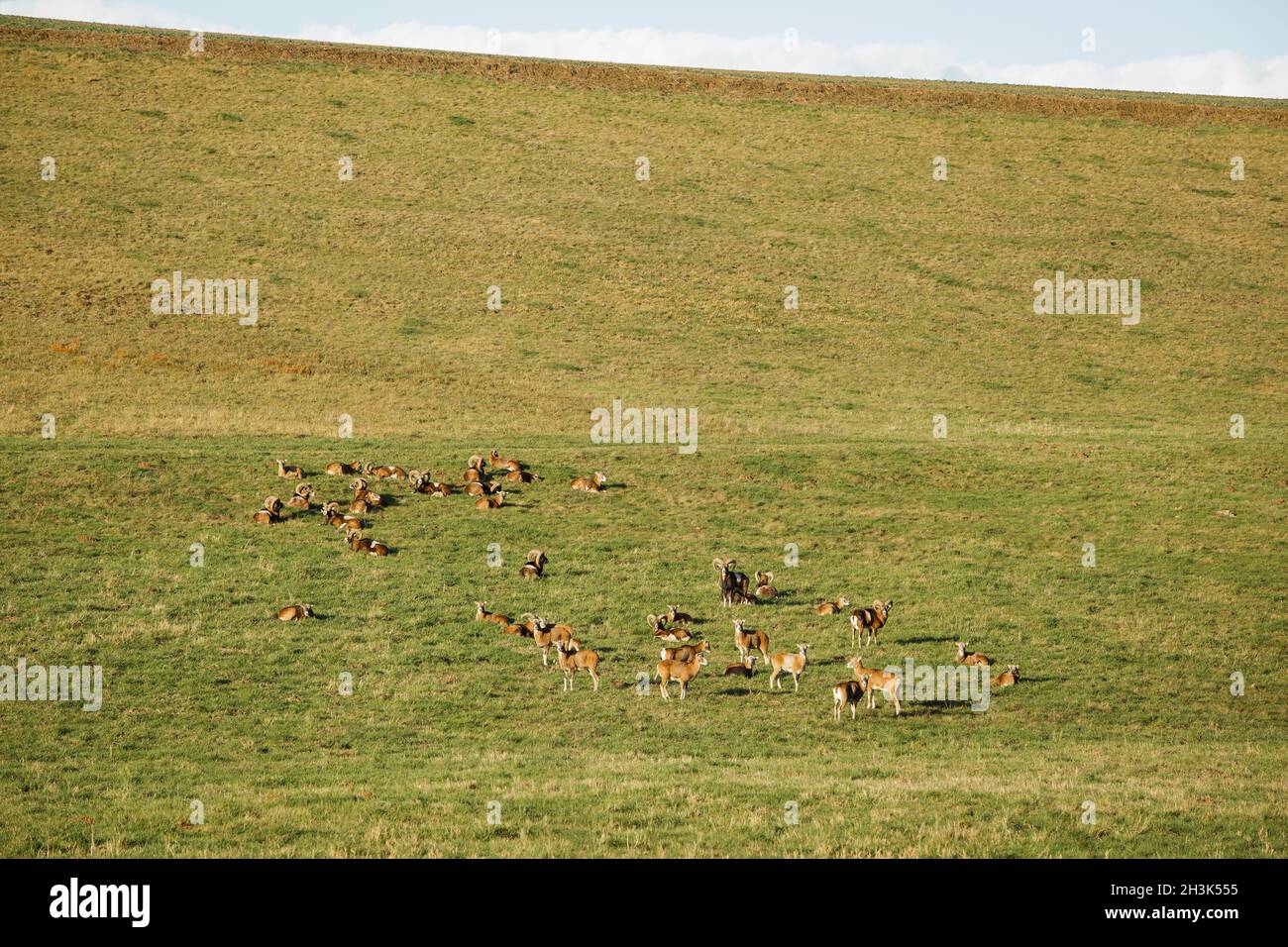 Grouchy hi-res stock photography and images - Alamy