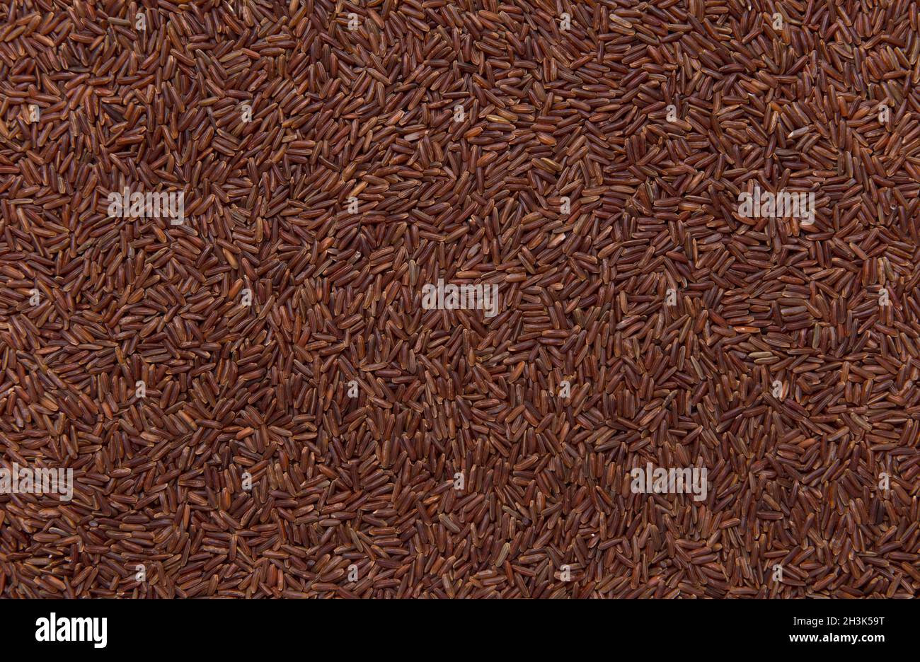 Red wild rice as background, close up of grains, background use Stock ...