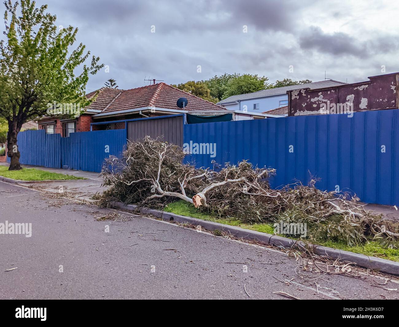 Springtime Storms and Damge in Melbourne Australia Stock Photo - Alamy