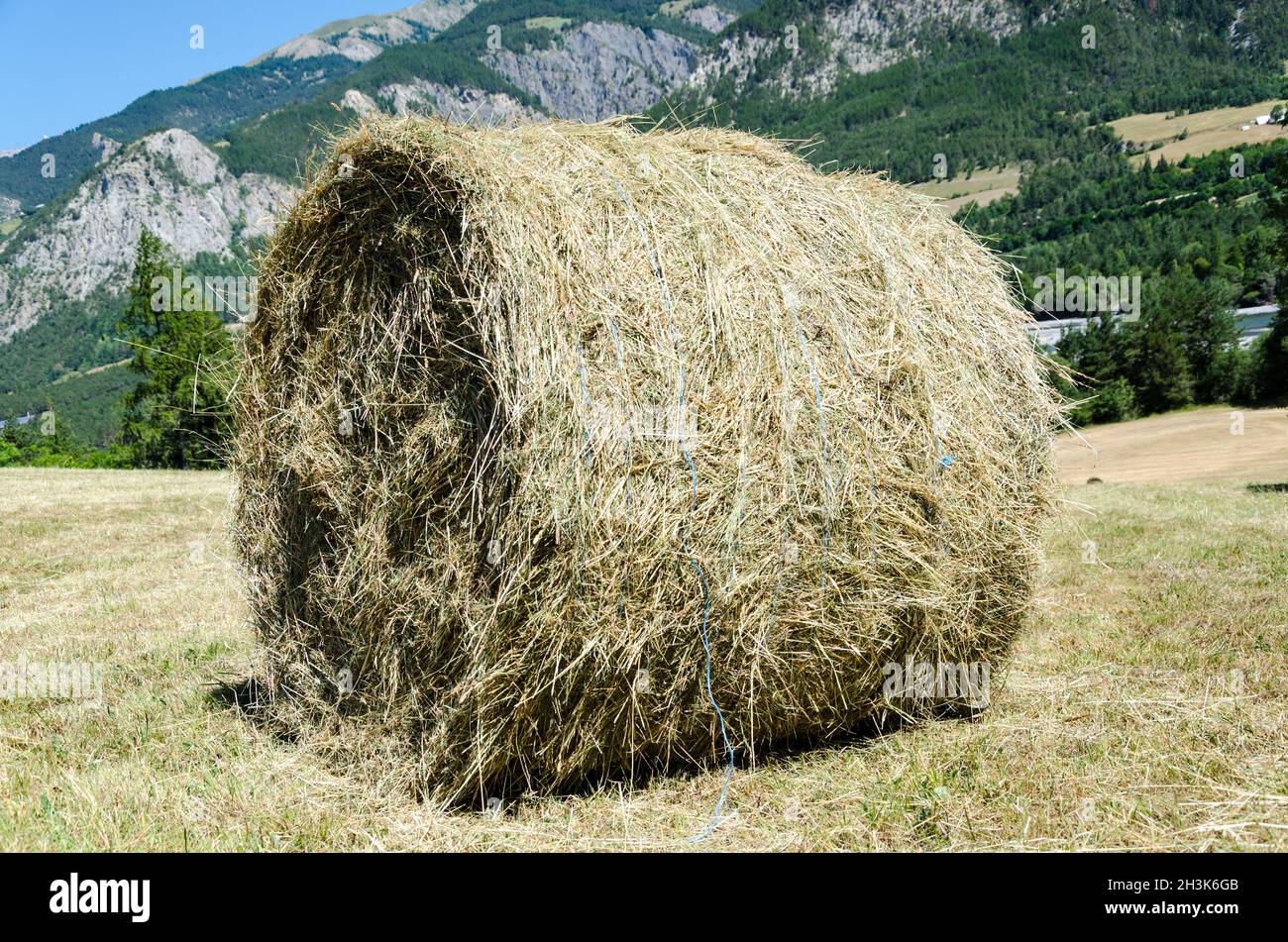Roundbale hi-res stock photography and images - Alamy