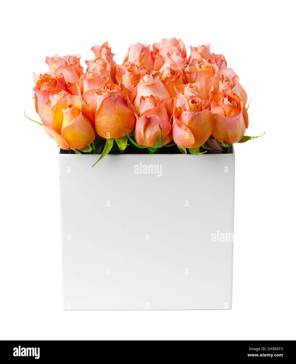 Peach color roses in a cardboard box isolated on white Stock Photo - Alamy