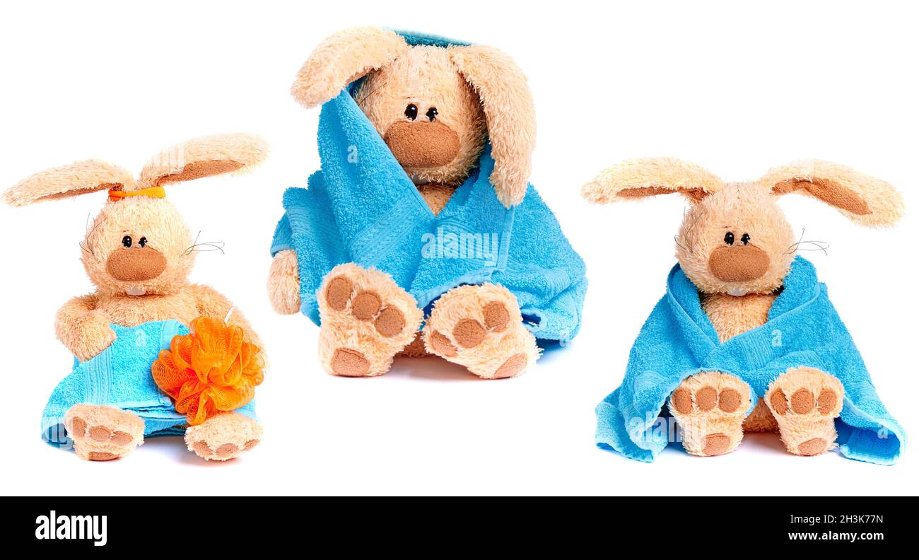 Stuffed rabbit wrapped in a blue towel on a white background Stock ...