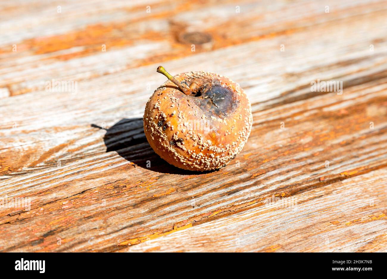 Rotten apple table hi-res stock photography and images - Alamy