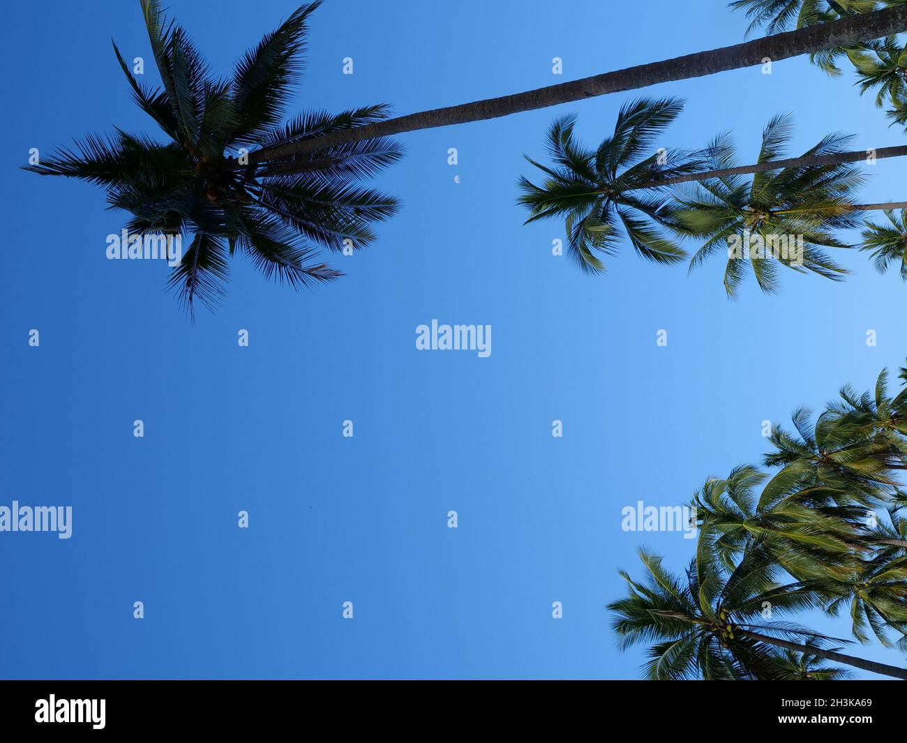 Blue sky trees landscape time hi-res stock photography and images - Alamy