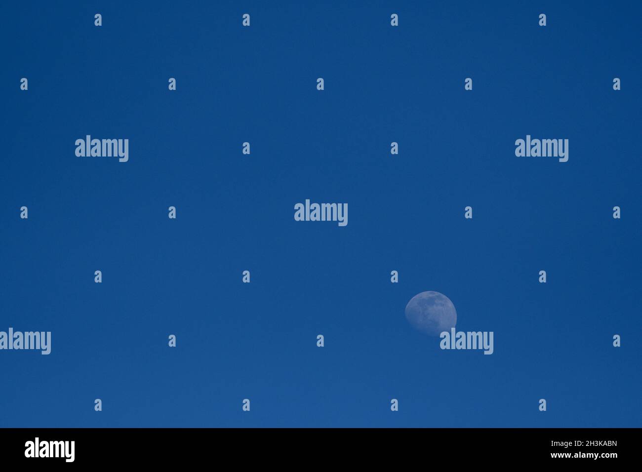 the moon in half moon phase Stock Photo - Alamy