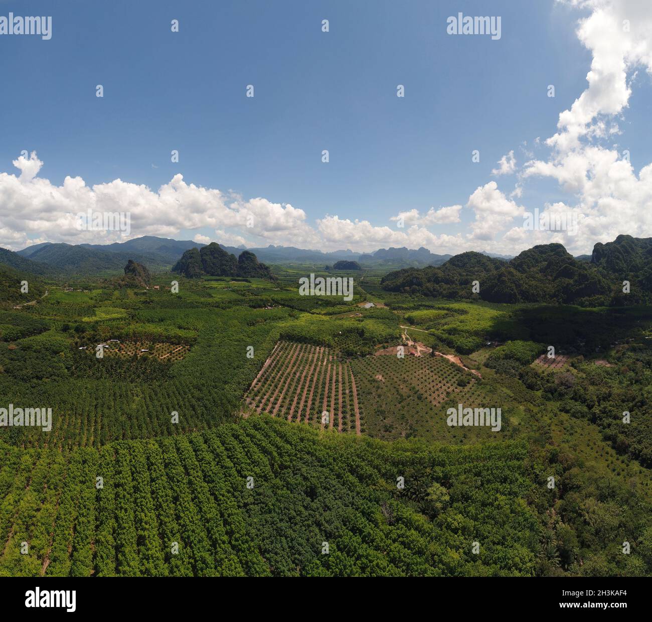 Tropical rainforest scene with rain hi-res stock photography and images ...
