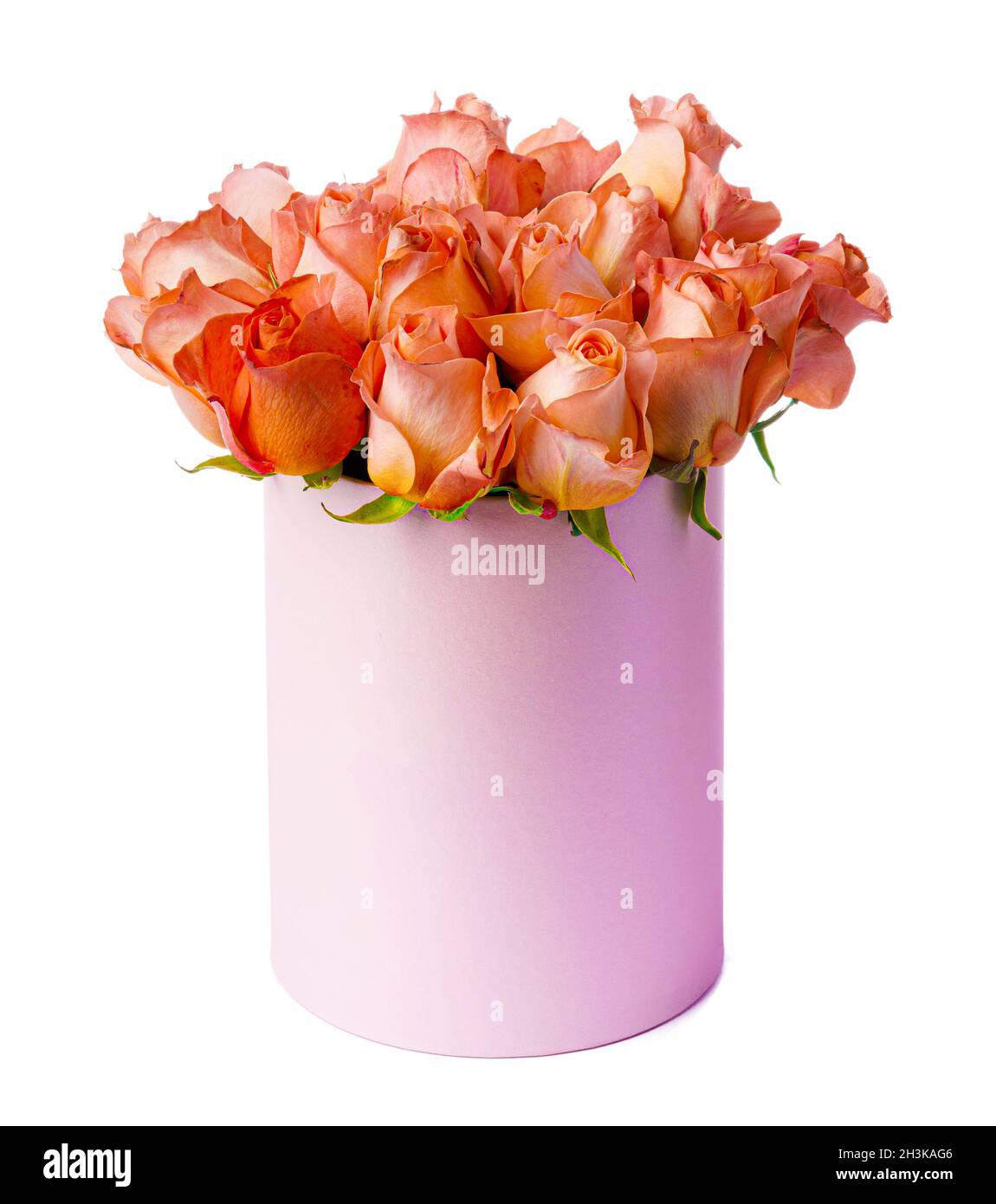 Peach color roses in a cardboard box isolated on white Stock Photo - Alamy