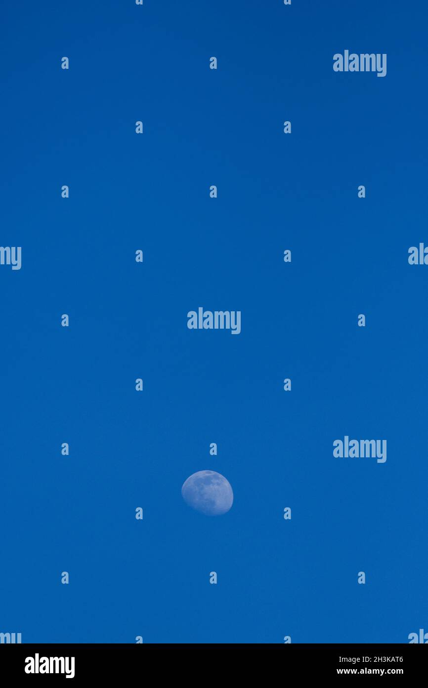 the moon in half moon phase Stock Photo - Alamy