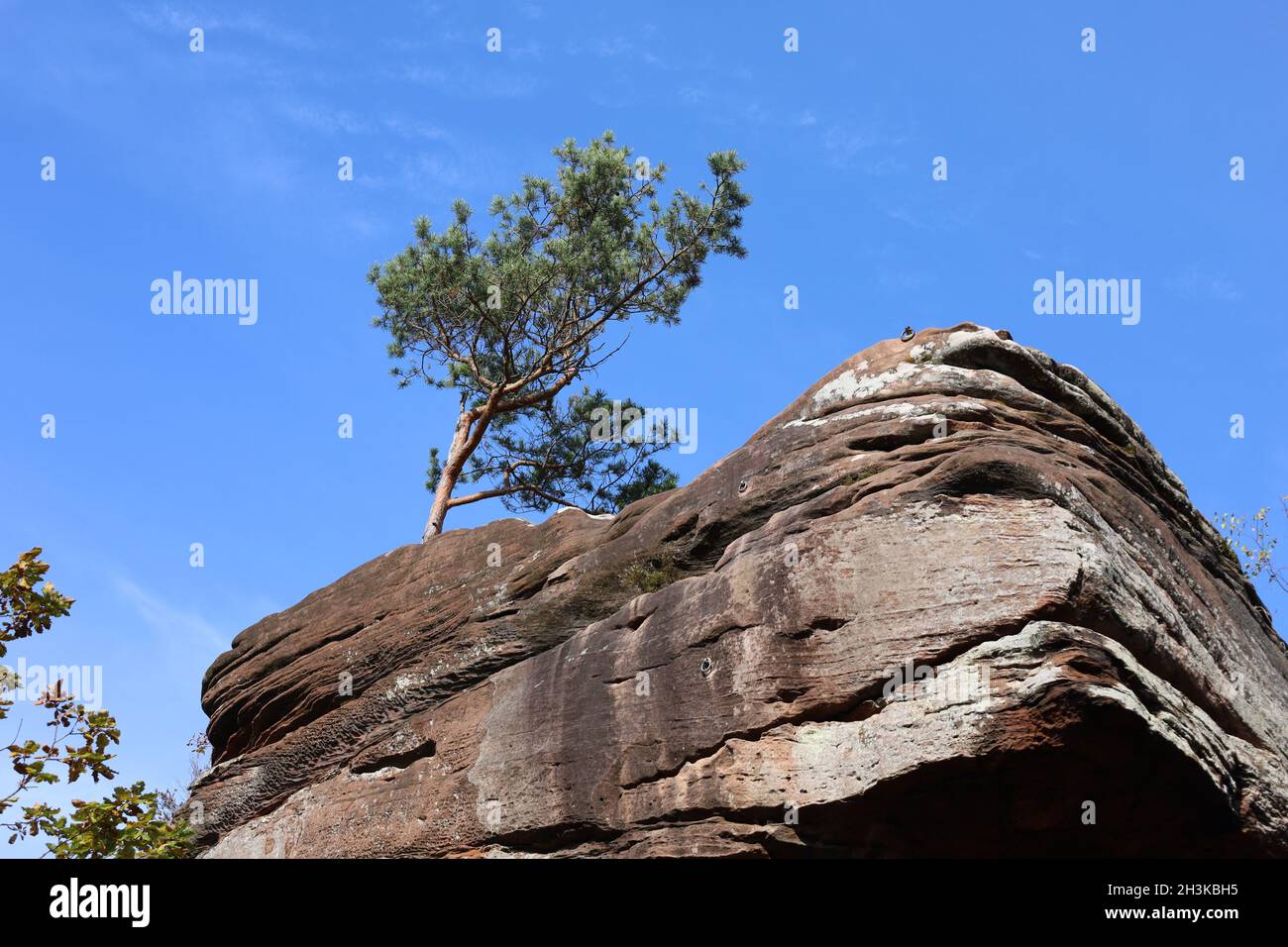 Hinterweidenthal Germany October 2021 Sandstone formation Devil's Table ...