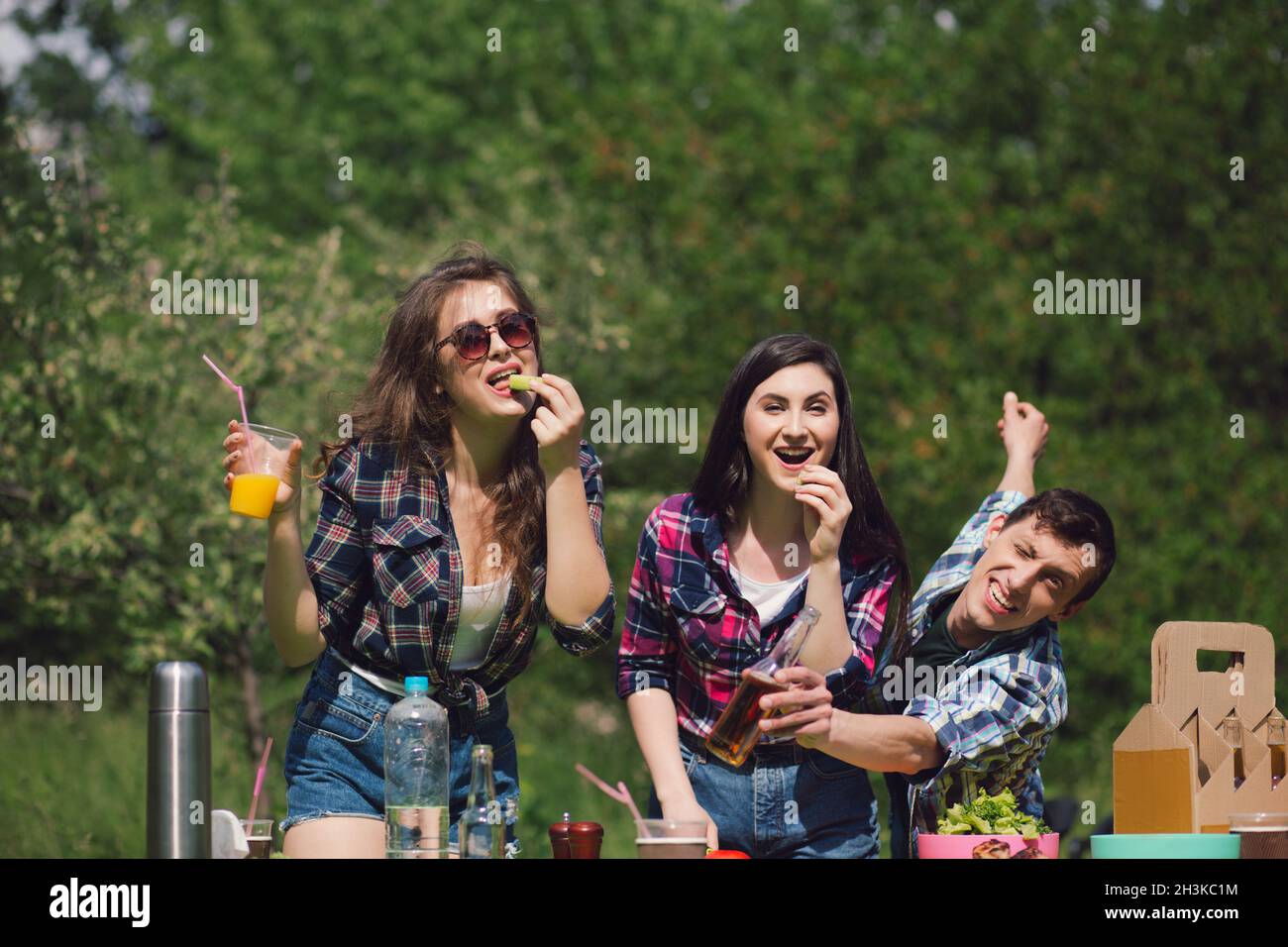 Group people picnic in hi-res stock photography and images - Alamy