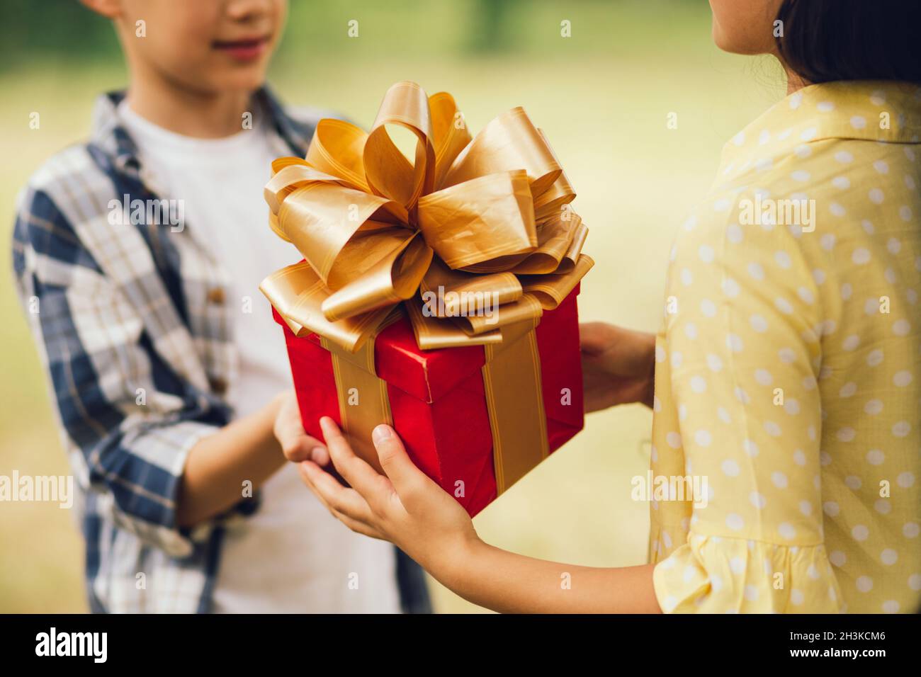 Little boy giving present to little girl Stock Photo - Alamy