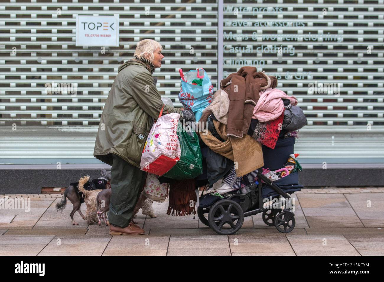 Homeless woman trolley poverty hi-res stock photography and images - Alamy