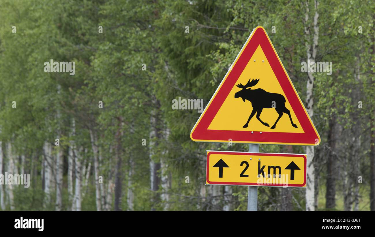 Road sign moose Stock Photo - Alamy