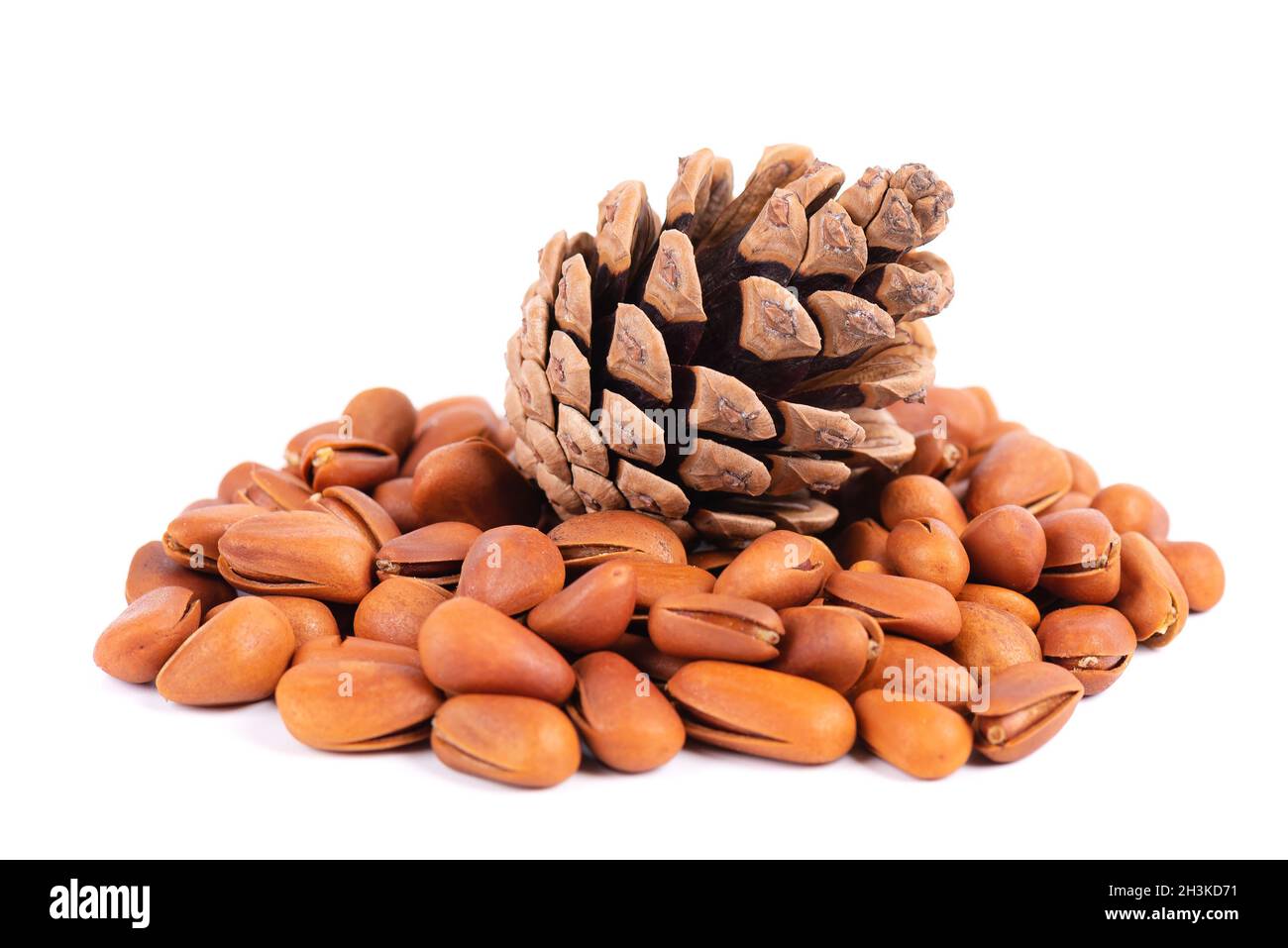 Pine nuts isolated on white background. Pine cones and heap of roasted ...