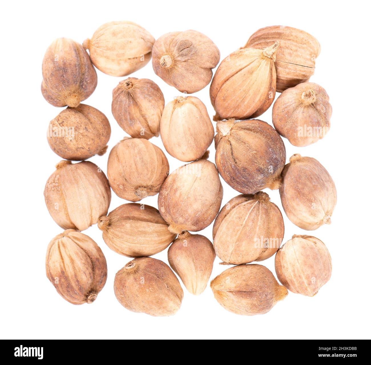 White cardamom hi-res stock photography and images - Alamy
