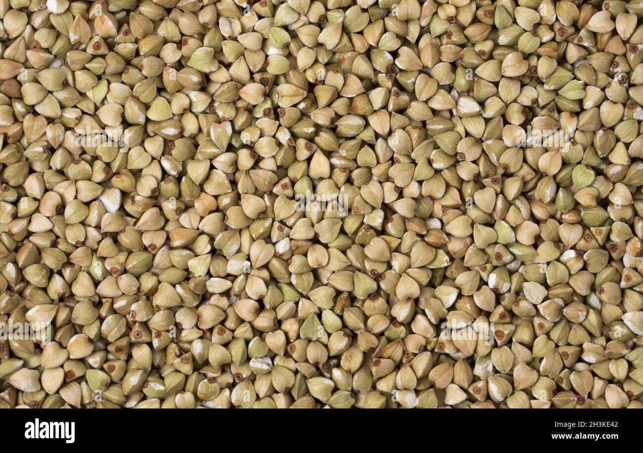 Natural fresh green buckwheat as background Stock Photo - Alamy