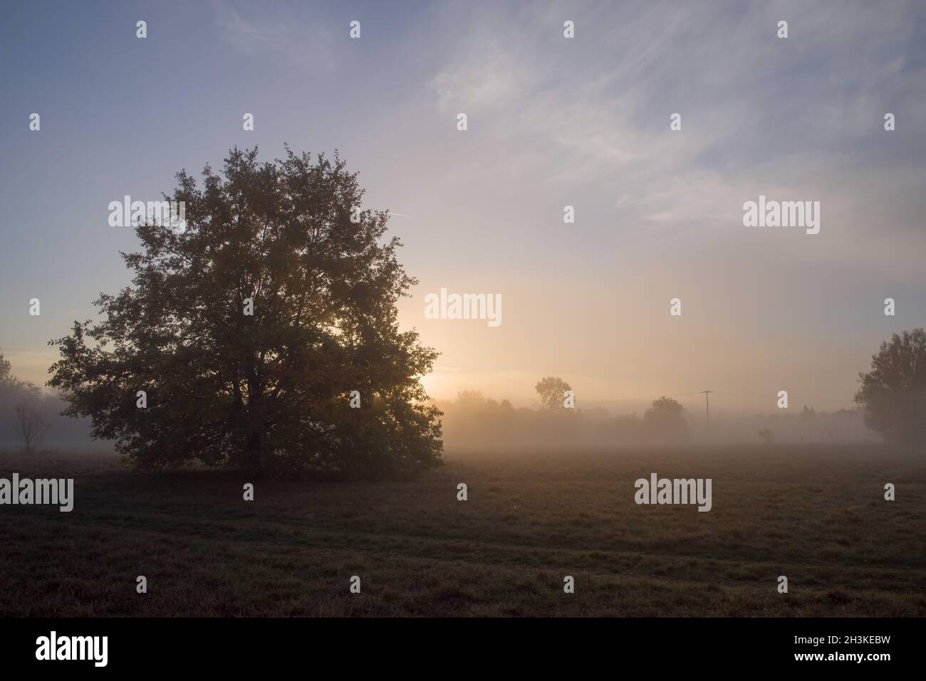 Coming growth hi-res stock photography and images - Alamy