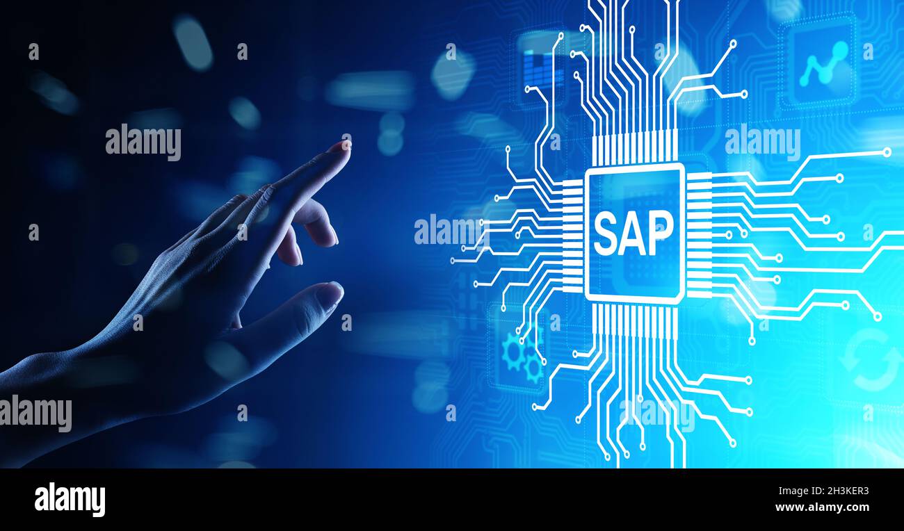 Sap Inventory Software