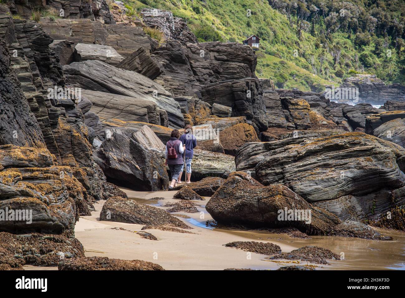 Walking between the hi-res stock photography and images - Alamy