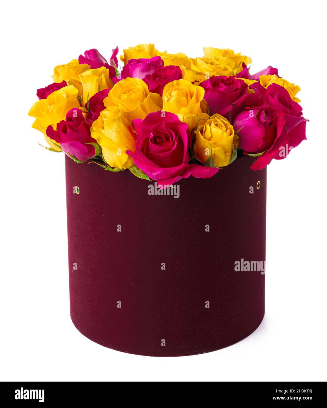 Beautiful boxes with fresh roses isolated on white background Stock ...