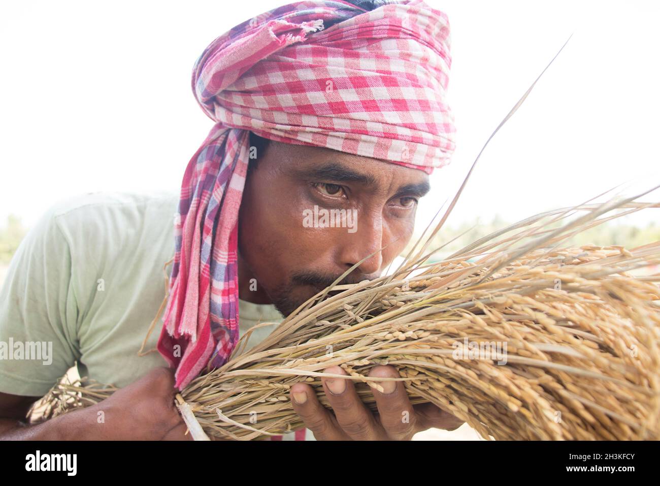Indian Rural man Showing Thumb Up In Agricultural Field Stock Photo - Alamy