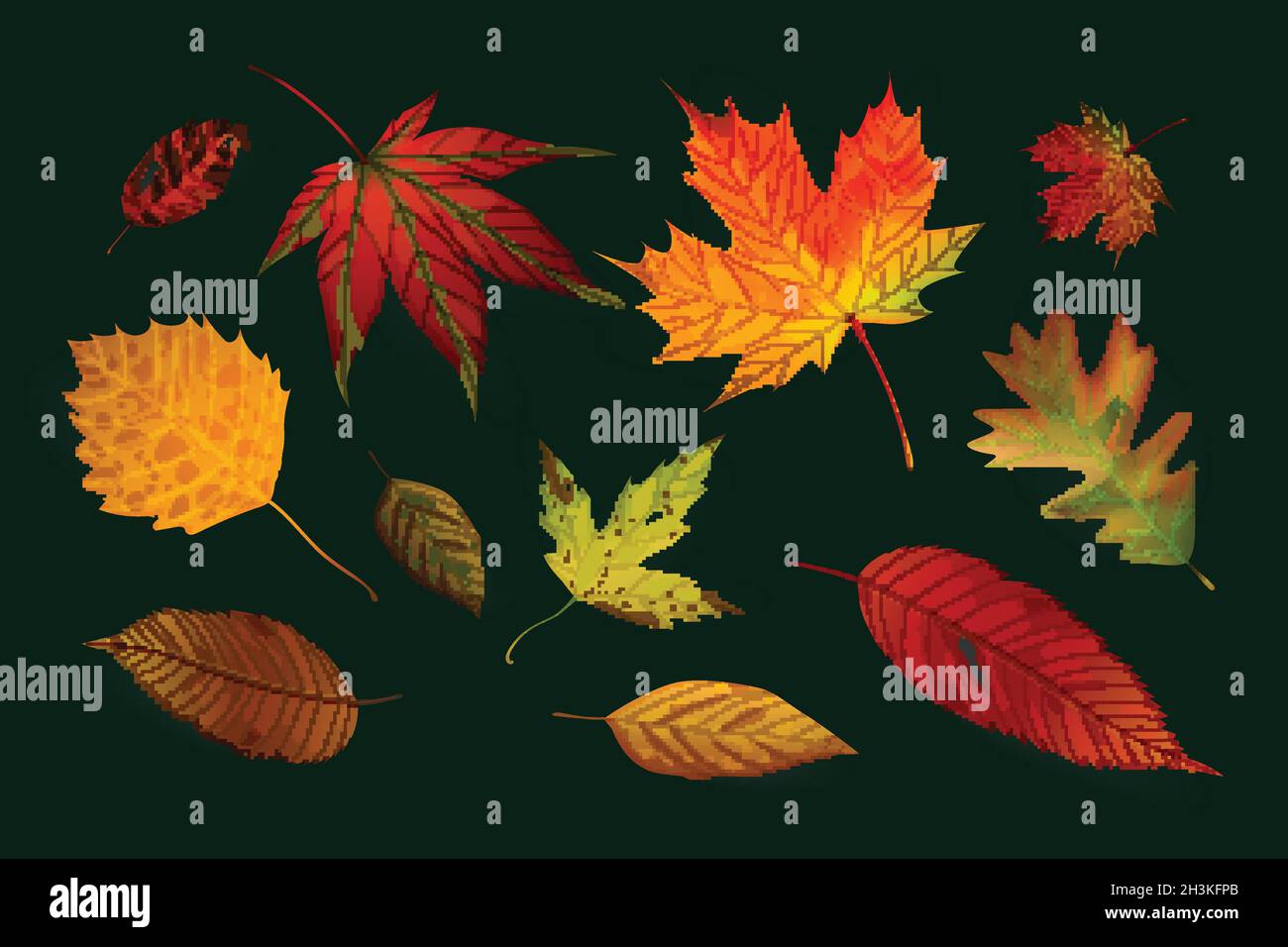 realistic style autumn leaves collection vector design illustration ...