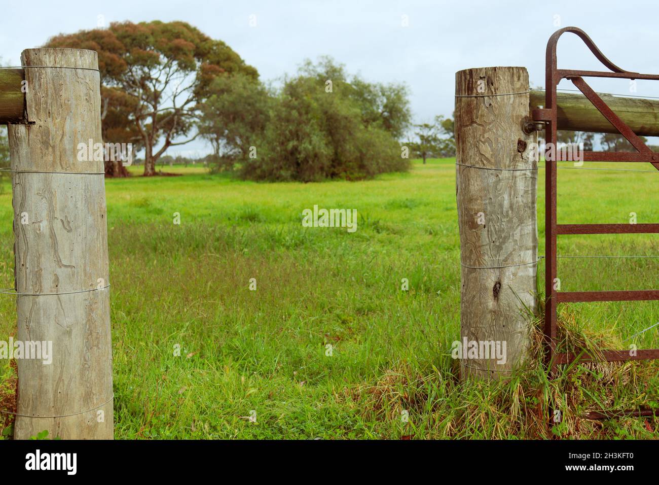 Wooden farm gates trees hi-res stock photography and images - Alamy