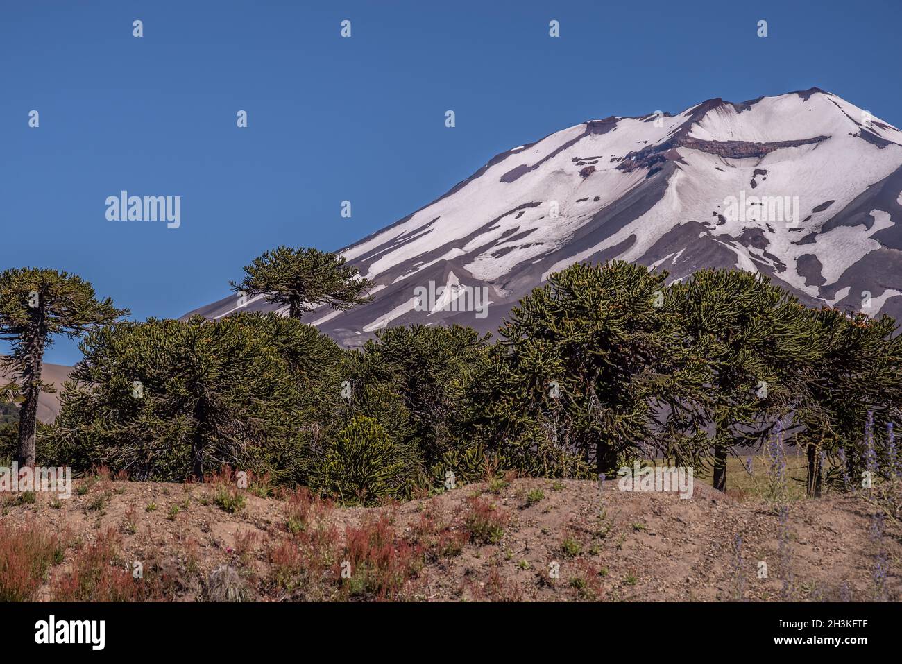 Big volcano hi-res stock photography and images - Alamy